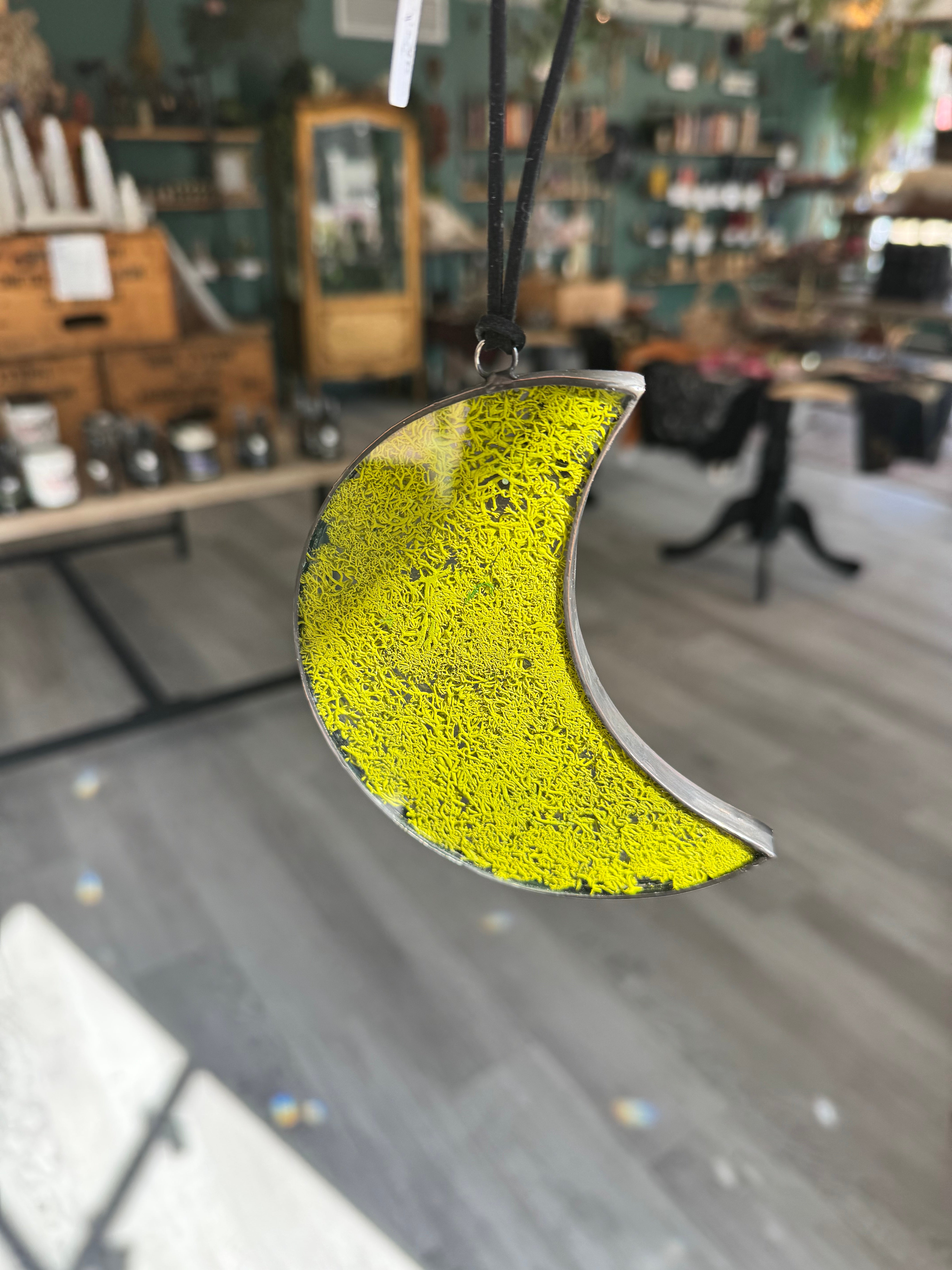 Preserved Moss Crescent Moon Glass Suncatcher | The Glass Garden ...
